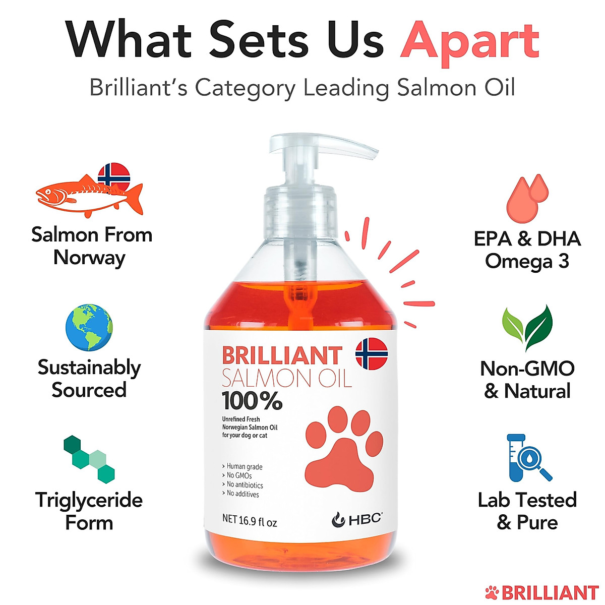 Brilliant Omega 3 Salmon Oil for Dogs & Cats - Norwegian Fish Oil Supplement with EPA & DHA Fatty Acids for Shedding, Allergy, Itching, Dry Skin & Joint Health - Skin and Coat Fish Oil Liquid, 40 Oz