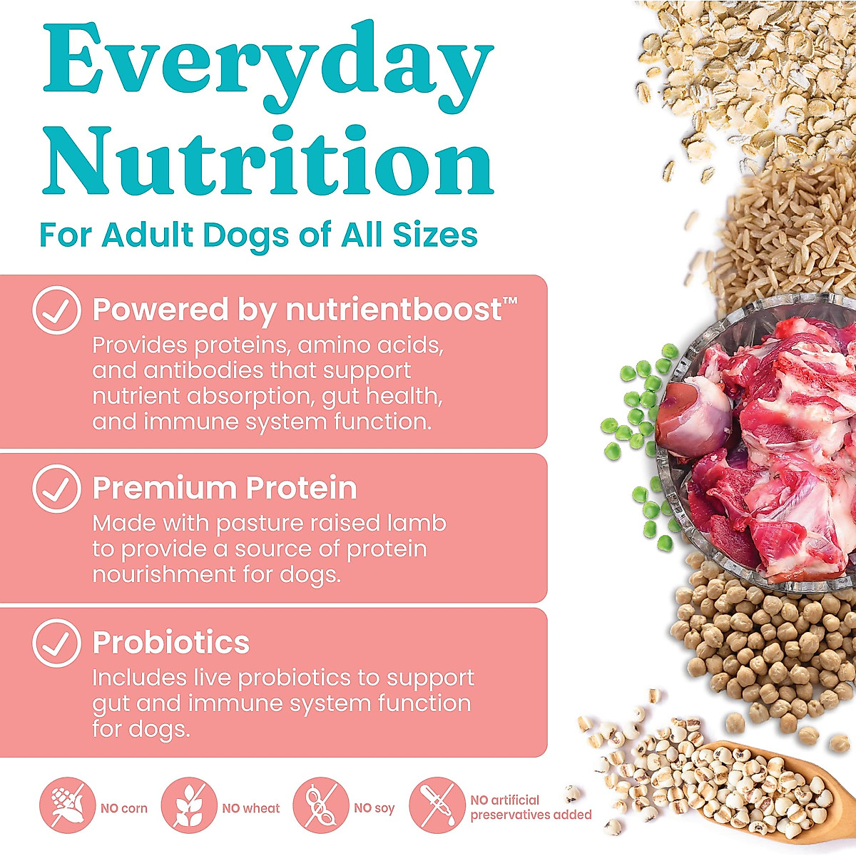 Solid Gold Dry Dog Food for Adult & Senior Dogs - Made with Real Lamb & Brown Rice - NutrientBoost Hund-N-Flocken Healthy Dog Food for Weight Management & Better Digestion - 3.75 LB Bag