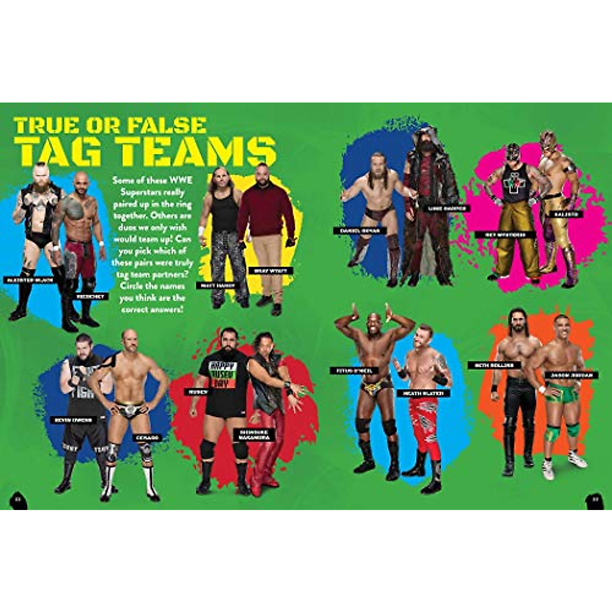WWE Superstars Ultimate Sticker and Activity Book