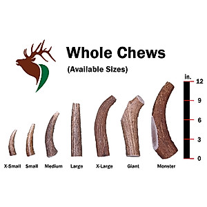 Elkhorn Premium Chews - Giant Whole Single Pack (for 75+ lb Dogs) Premium Grade Elk Antler for Dogs (1 Piece) Sourced in The USA