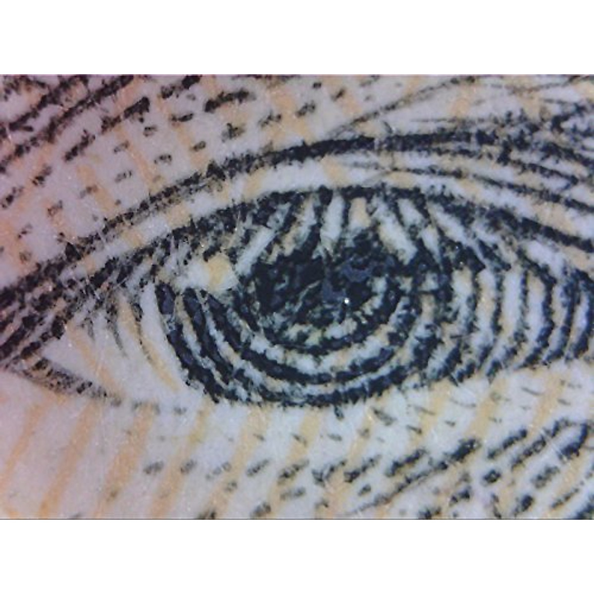 Opti-Tekscope Digital USB Microscope Camera- Advanced CMOS Sensor, True High Definition Macro 200x Zoom Imaging –1600 x 1200, Video, Superior Industrial Quality Base, 8 LED, Windows Mac Linux