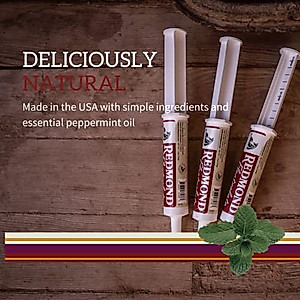 Redmond Equine Electrolyte Paste | Electrolytes Supplement for Horses