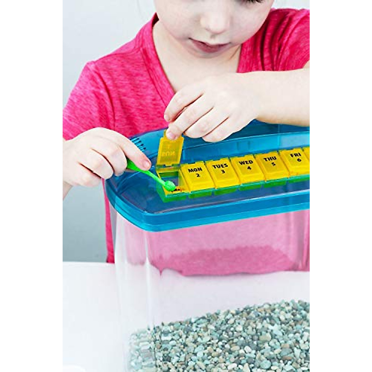 PENN-PLAX Rite-Bite Educational Betta Tank – A Perfect First Aquarium for Children with Adult Supervision – 1.13 Gallon