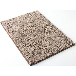 KOECKRITZ 9’x12’ Beige Area Rug. Frieze Plush Textured Carpet for Residential or Commercial use. Approximately 1/2" Thick with Binding.