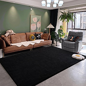 DweIke Modern Area Rugs for Bedroom Living Room, 4x6 ft Thickened Memory-Foam Indoor Carpets, Minimalist Style Carpet Suitable for Boys Girls and Adults with Super Soft Touch, Washable, Black