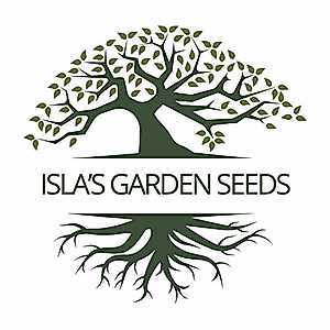 "Purple Gleam" California Poppy Flower Seeds for Planting, 1000+ Seeds Per Packet, (Isla's Garden Seeds), Non GMO & Heirloom Seeds, Scientific Name: Eschscholzia californica, Great Home Garden Gift