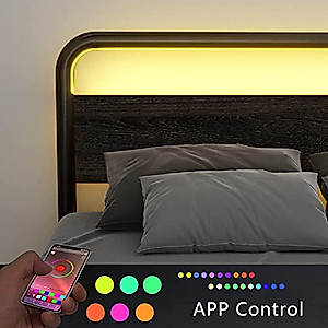 Catrimown King Bed Frame with Headboard LED Bed Frame King Metal Platform Bed Frame King Size Heavy Duty King Wood Platform Bed Frame Under Bed Storage Noise Free No Box Spring Needed