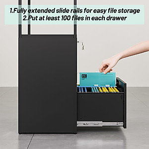 Letaya 2 Drawer Lateral File Cabinets with Lock,Metal Printer Stand Filing Organization Cabinets for Home Office,Hanging Files Letter/Legal/F4/A4 Size (Black)