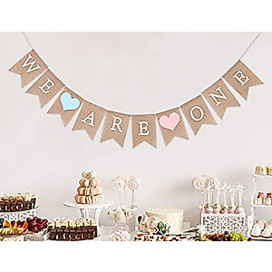 Twins Banner for 1st Birthday - We Are One Banner, Twins Birthday Party Banner, Twins Frist Birthday Decor, Girls Boys First Birthday Decoration,Photo Prop