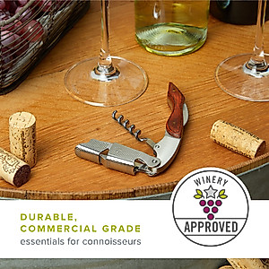 True Sommelier Waiter's Corkscrew - Professional Wine Bottle Opener, Wine Accessories, Gift for Wine Lovers, Stainless Steel - Set of 1, Silver