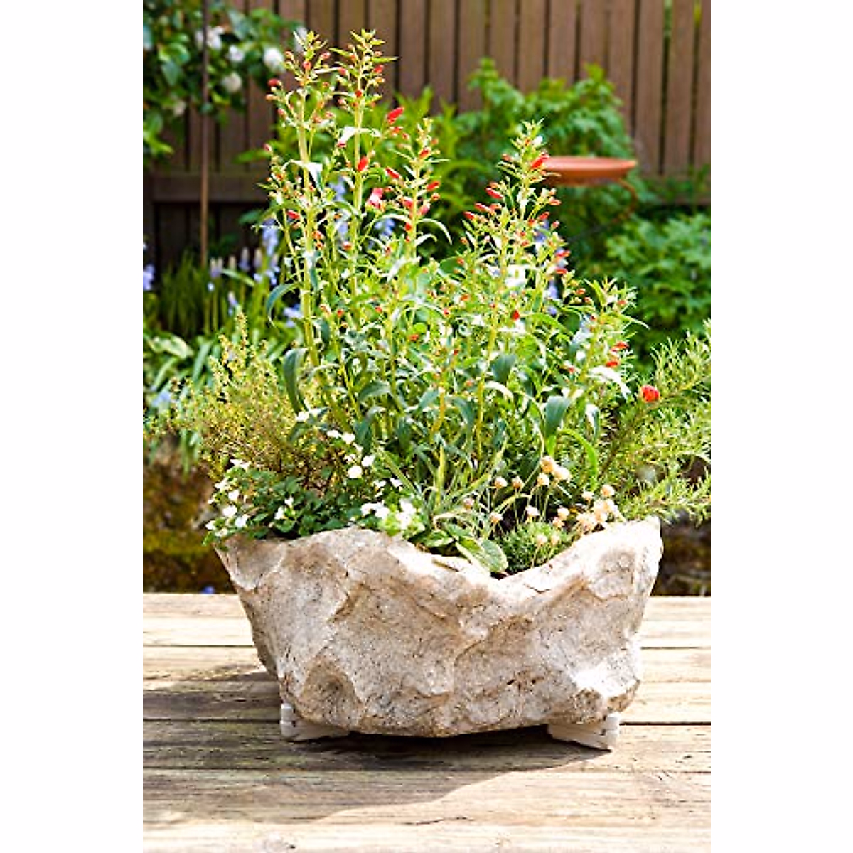 Bosmere Pot Toes, Plant Pot Risers for Indoor and Outdoor, Prevent Stains and Rotting on Wood, Cement, and Tile - Terra Cotta (Pack of 12)