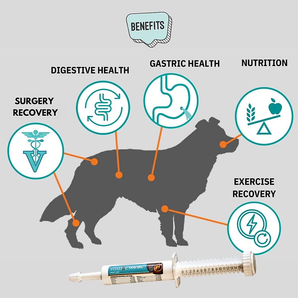 Vitalize Dog Gel - After Surgery Recovery & Probiotics Alternative Immune Support Booster Supplement for Dogs Digestive & Gut Health - Liquid Gel Paste (15 ml)