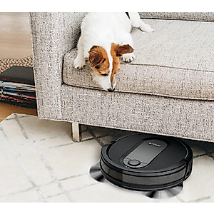 Shark IQ Wi-Fi Robot Vacuum w/ Self-Empty Base & Self-Cleaning Brushroll QR1000 (Renewed) (Black)