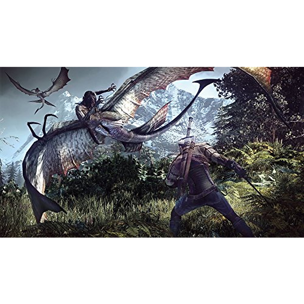 The Witcher: Wild Hunt (Comic Bundle) - PlayStation 4