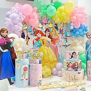 34 Pieces Princess Birthday Party Decorations Princess Merch Hanging Swirls Streams for Princess Theme Kids Girls Boys Party Decor Baby Shower Supplies