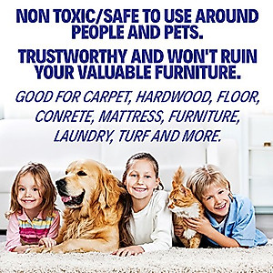 REMOVEURINE Pet Odor Eliminator for Home & Urine Destroyer - Pet Urine Odor Eliminator Spray - Urine Remover for Dogs and Cats - Pet Carpet Cleaner Solution