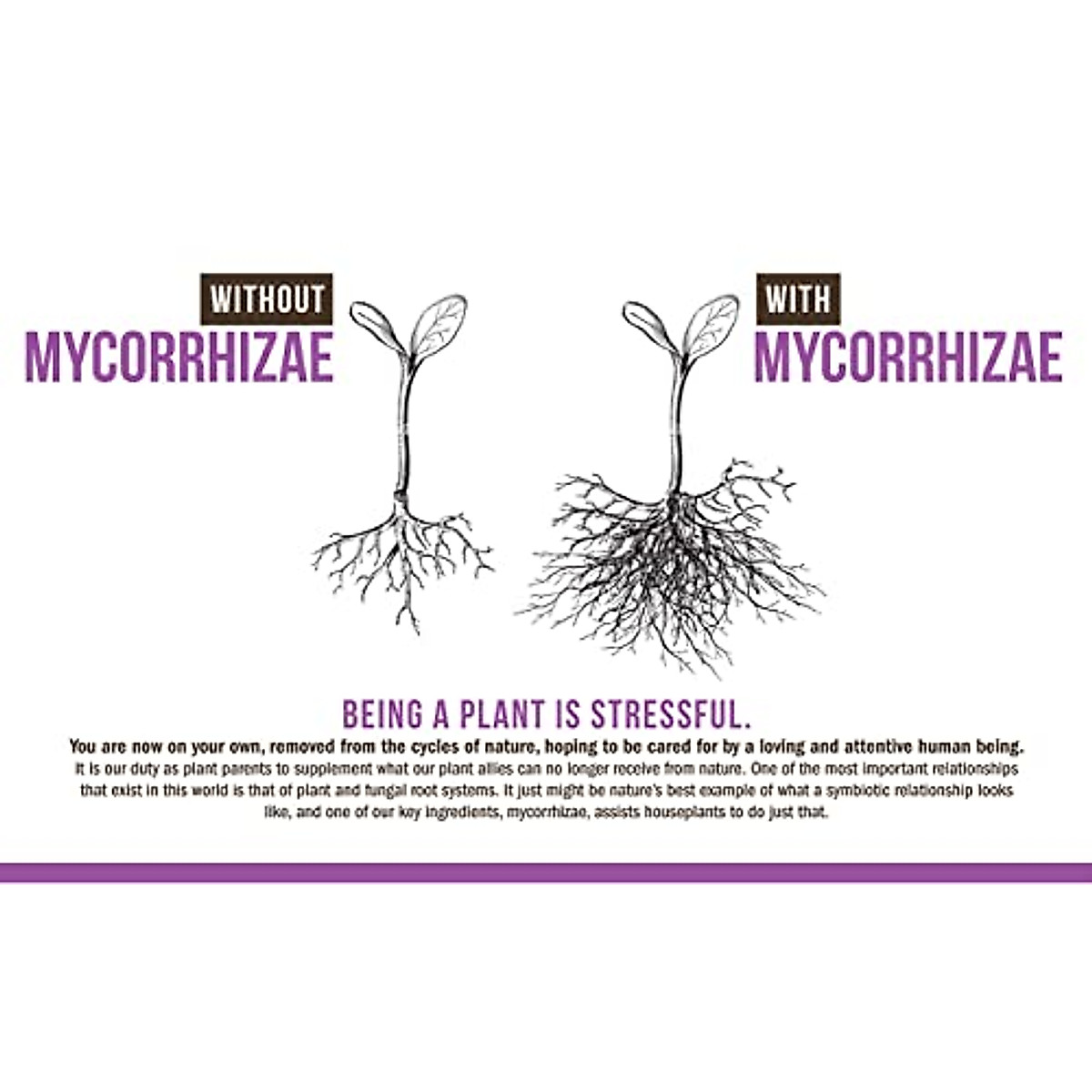 Houseplant Superfood and Fertilizer | Makes 4 Gallons | Organic Premium Concentrate | Easy Use 3oz (1 Shaker)