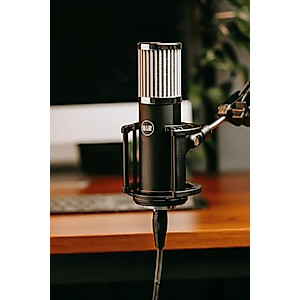 512 Audio by Warm Audio Skylight Large Diaphragm Studio Condenser XLR Microphone + Shock Mount + Bag for Recording and Podcasting