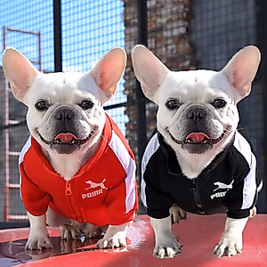 Stylish and Athletic Pomii Small Dog Zip-Up Jacket and Sweater (X-Large, Red). Show Off Your Dog's Athletic Side with This Sweater/Jacket.
