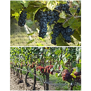 Unves Bird Netting, 13 x 33 Feet Reusable Heavy Duty Fruit Tree Netting with 50pcs Cable Ties, Garden Netting for Seedlings Plants Vegetables Protection from Birds and Animals Reusable Fencing