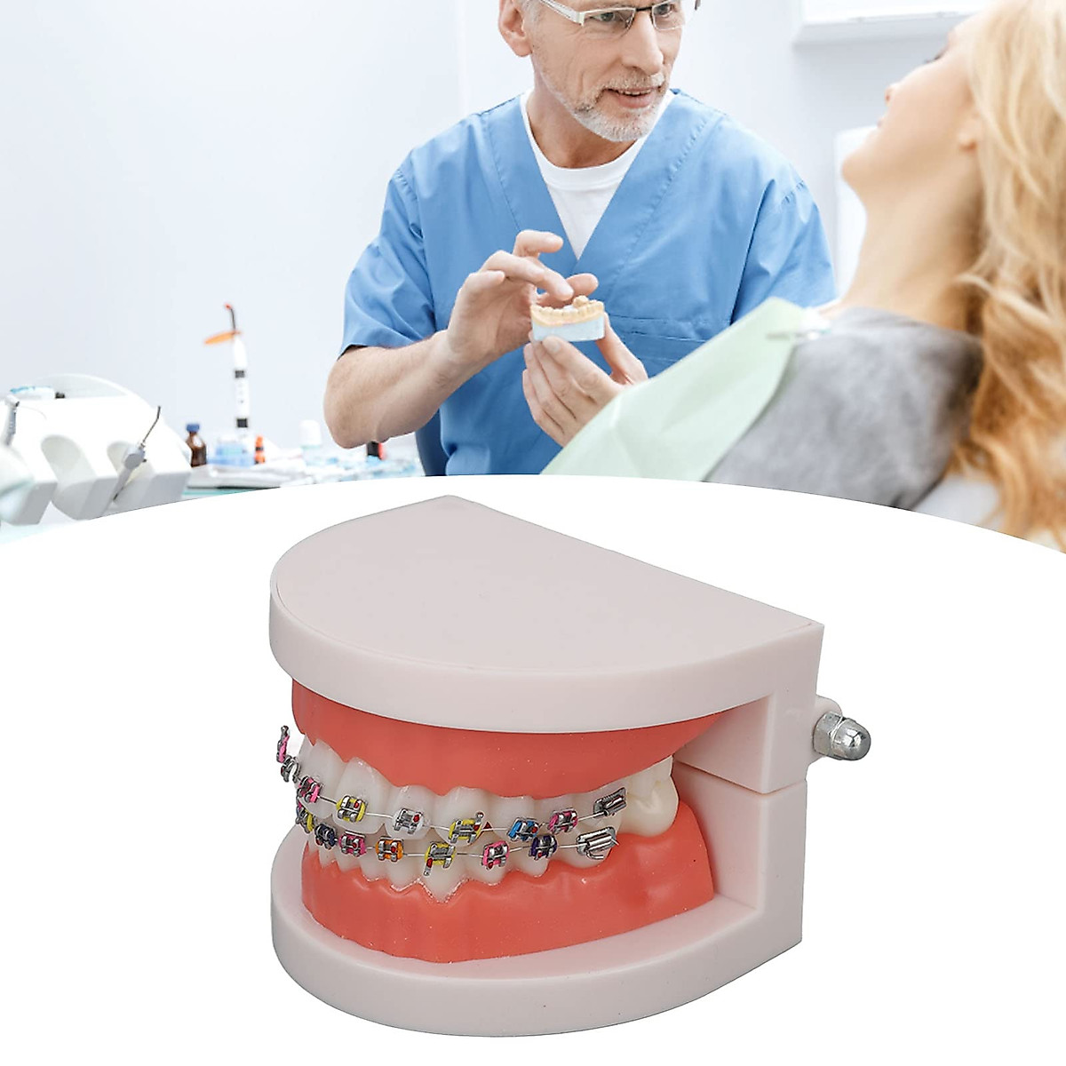 Typodonts Orthodontics Demonstration Model, Dental Orthodontic Model with Metal Wires and Bracket Teaching for Adults and Children Learning