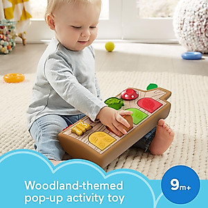 Fisher-Price Baby Toy Hide & Peek Pop-Up Animal-Themed Sensory Activity with Wood Accents & Sounds for Ages 9+ Months