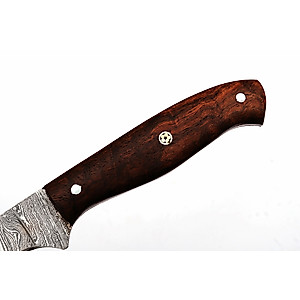 HM TRADING Custom Handmade Damascus Steel Fillet Knife with Beautiful Rose wood Handles (Brown)