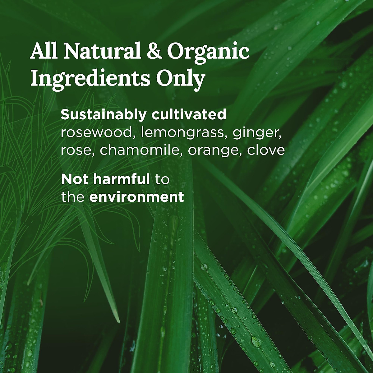 Magnificent 101 Long-Lasting 7 Chakras Oils Aromatherapy Smudge Candle | 6 Oz - 35-Hour Burn | 100% Soy Wax, Herbs & Essential Oils | Ideal for Meditation, Healing, Energy Cleansing & Manifestation