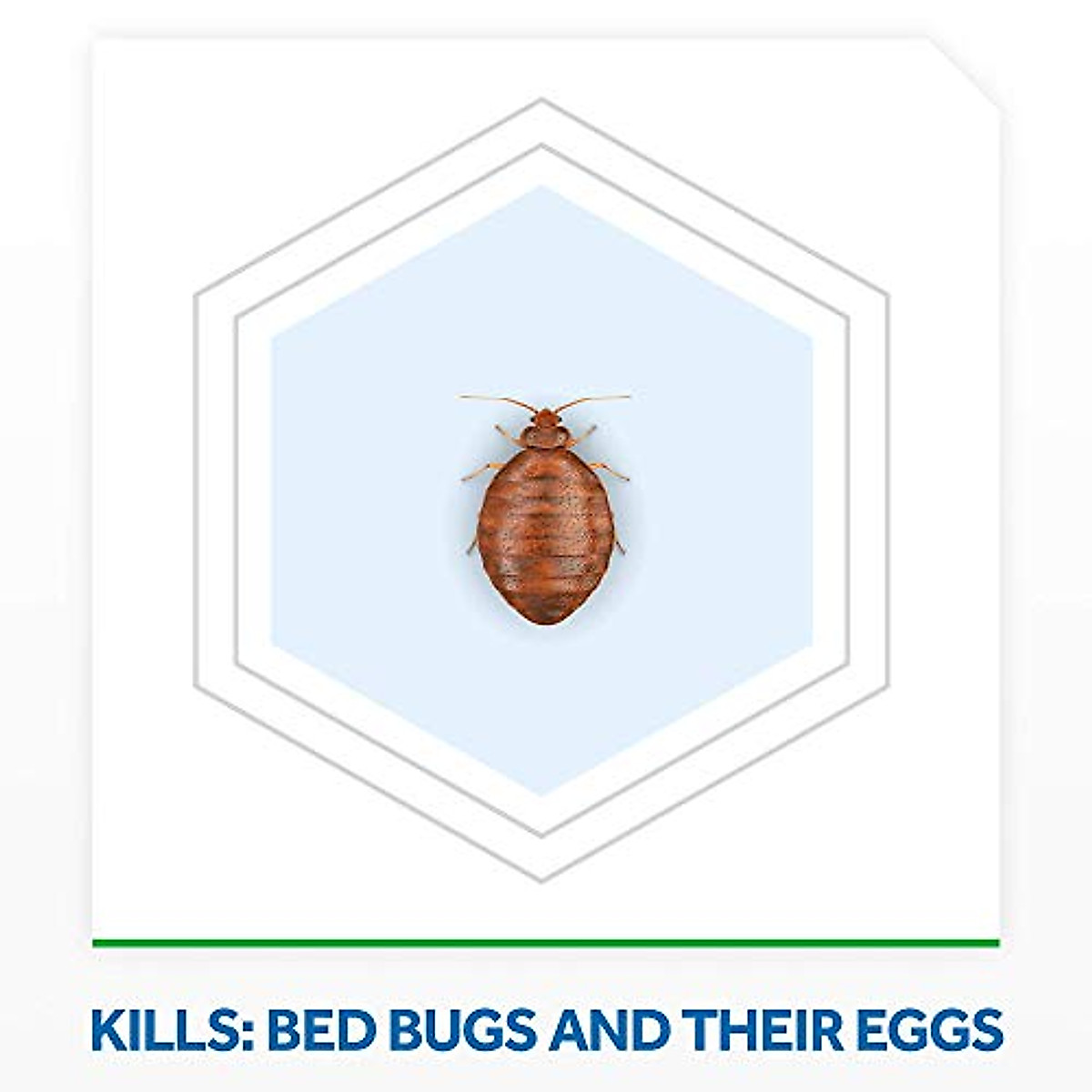 Raid Max Bed Bug Extended Protection, Kills Bed Bugs for 8 weeks on Laminated Woods and Surfaces, 22 Oz