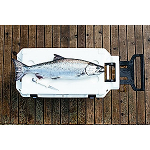 Pelican 70QT Elite Cooler (White/Grey) | 46 Can Capacity with Ice | 9 Day Ice Retention | Built-in Cup Holders & Bottle Opener | Guaranteed for Life