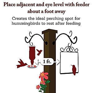 POP'S Birding, The Original Charm Hummingbird Swing for Outdoors - Perfect Bird Perch for Small Birds - Sturdy Steel Metal Swing Set with Hook Included