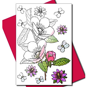 Art Eclect Adult Coloring Flower Greeting Cards for Birthdays, Anniversary, Thank You and Sympathy Cards (10 Cards and 10 Envelopes, Set Flowers B/Pink)