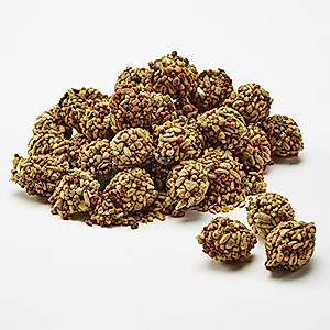 Kaytee Healthy Bits Treat -- Parrot 4.5 oz