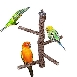 Mogoko Natural Wood Bird Perch Stand, Hanging Multi Branch Perch for Parrots, Parakeets Cockatiels, Conures, Macaws, Love Birds, Finches