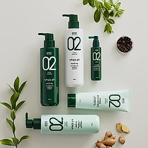 AMOS PROFESSIONAL The Green Tea Shampoo Refresh [For Oily Scalp] 17.6oz (500g) | Anti-Hair Loss Korean Hair Growth Shampoo for Cleanse Excess Sebum