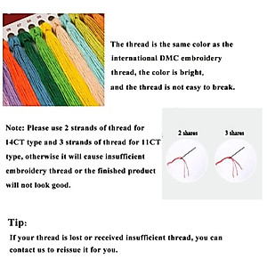 Eiialerm Stamped Cross-Stitch Kits Animal Lion 11CT Beginner Cross Stitch Pre-Printed Pattern Embroidery DIY Children's Adult Home Decoration 16x20 Inch