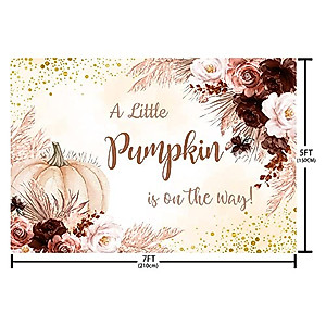 MEHOFOND 7x5ft Pumpkin Baby Shower Backdrop for Girl Fall Boho Baby Shower Party Decorations Little Pumpkin is on The Way Banner Thanksgiving Baby Shower Background Photo Booth Studio