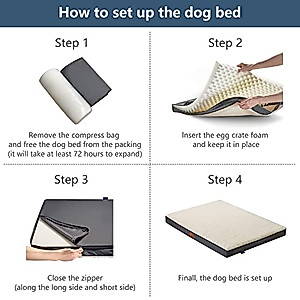 CozyLux Dog Beds for Large Dogs - Large Dog Bed for 65 lbs, Egg-Crate Foam Cat Bed Mat, Removable Washable Cover, Grey 35 X 22 X 3 inch