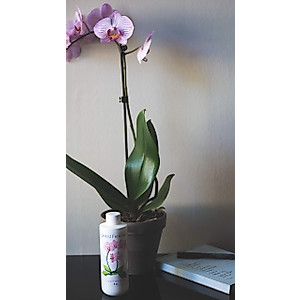 Orchid Fertilizer | Food | Encourages Orchids to Grow in Pot/Pots | for Indoor Outdoor Plant | Orchid Potting Mix by Aquatic Arts