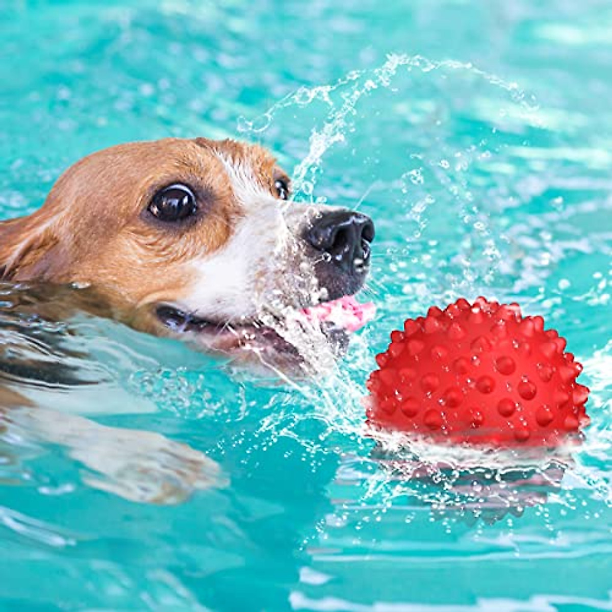 Apasiri 𝐔𝐩𝐠𝐫𝐚𝐝𝐞𝐝 𝐕𝐞𝐫𝐬𝐢𝐨𝐧 Squeaky Toys for Large Dogs, Aggressive Chewers, Tough Spiky Ball Durable Floatable Rubber Pet Toys for Medium Breed