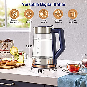 JOY Kitchen Electric Kettle Temperature Control, 1.7L Glass Tea Kettle with LED Display, Digital Temperature Color Indicators, 1 Hour Keep Warm, Auto Shut Off and Boil Dry Protection, 1500W