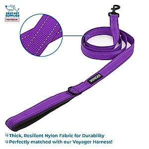 Voyager Step-in Air All Weather Mesh Harness and Reflective Dog 5 ft Leash Combo with Neoprene Handle, for Small, Medium and Large Breed Puppies by Best Pet Supplies - Purple, Small