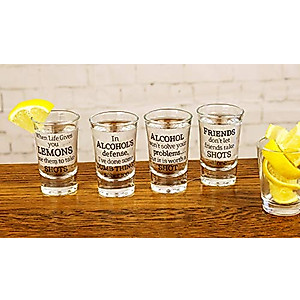 Lillian Rose Party Shot Glasses Set of 4, 4 Count (Pack of 1), Clear