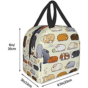Xuhua Guinea Pig Parade Lunch Bag Boxes Tote Insulated Reusable,Lunch Bag Lunchbox Durable Waterproof Zipper Hangbag Portable for Boys Girls School Supplies