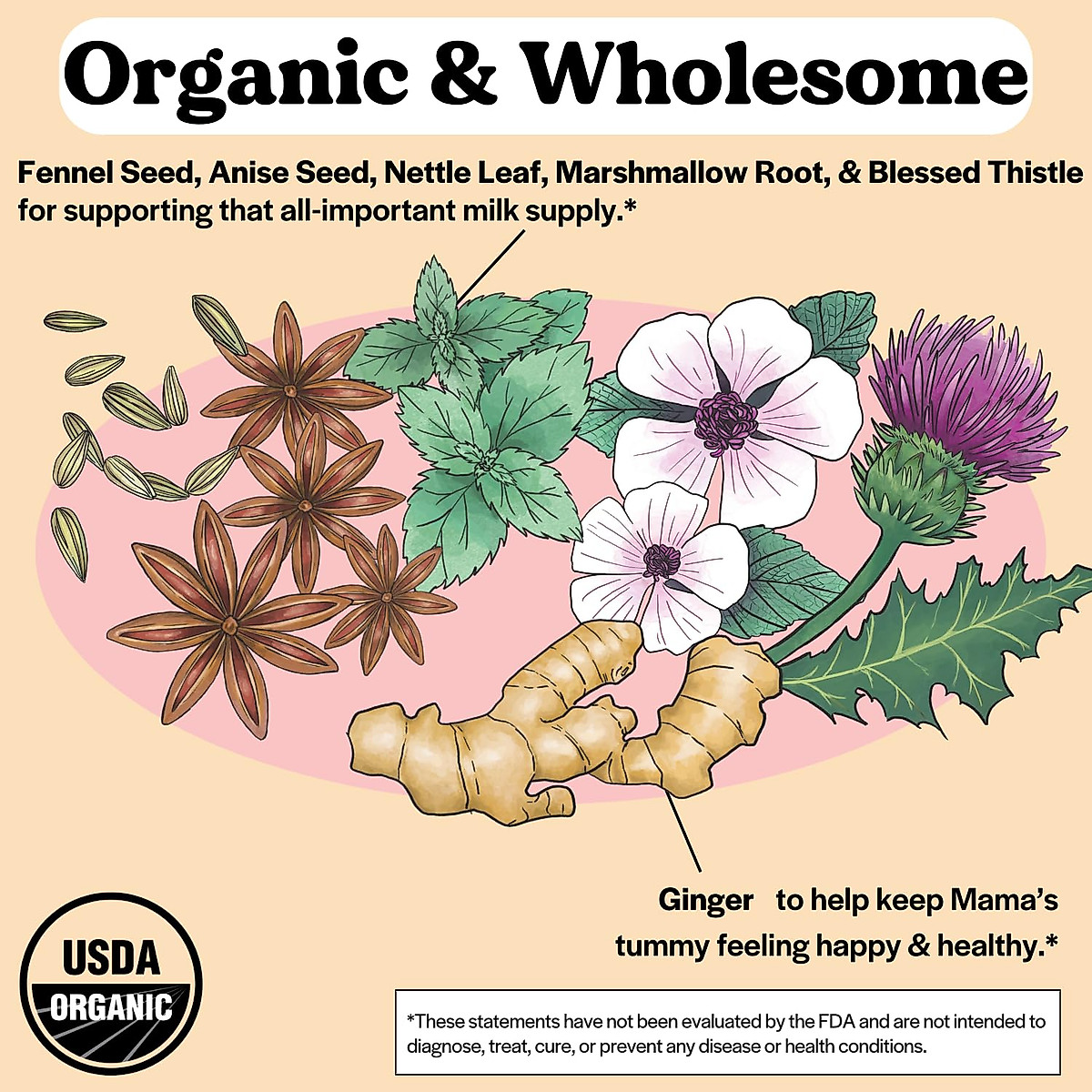 Lactation Support Tea w Fennel Seed & Star Anise Seed | Breast Milk Supply Production Increase | Lactation Tea | Postpartum Tea | Breastfeeding Support | Nursing Tea | 15 Plastic Free Pyramid Sachet