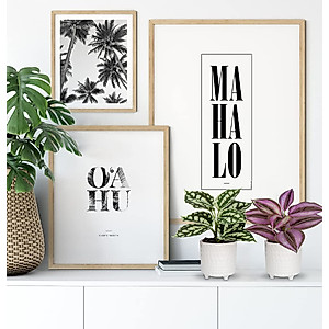 DILATATA 2 Packs Small Fake Plants for Decor Artificial Plants in Ceramic Pot 7.5" Faux Potted Plants Eucalyptus for Home Decor Table Centerpiece Living Room