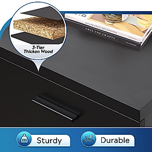 DEVAISE 2 Drawer Wood File Cabinet, Mobile Lateral Filing Cabinet with Storage, Letter Legal Size, Black