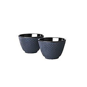 Bredemeijer Cast Iron Teacups Ceramic Lined Set of 2 Blue XILIN