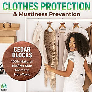 Clothes Moth Traps with Pheromones and Free Cedar Blocks Moth Repellent - Moth Traps for Clothes - Clothing Moth Traps with Pheromones - Closet Moth Traps for House - How to Get Rid of Moths in House