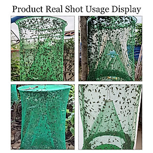 Ranch Fly Trap with Bait Tray, Reusable Fly Traps Fly Catcher Cage for Indoor or Outdoor Family Farms, Park, Restaurants (8 Pack) 01